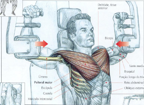 TREINO DE 1 HORA DIRECIONADO PARA MULHERES INICIANTES :::: ~ .