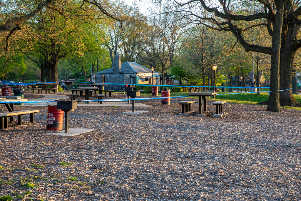 Wandering Insomnia: Cunningham Park during Coronavirus