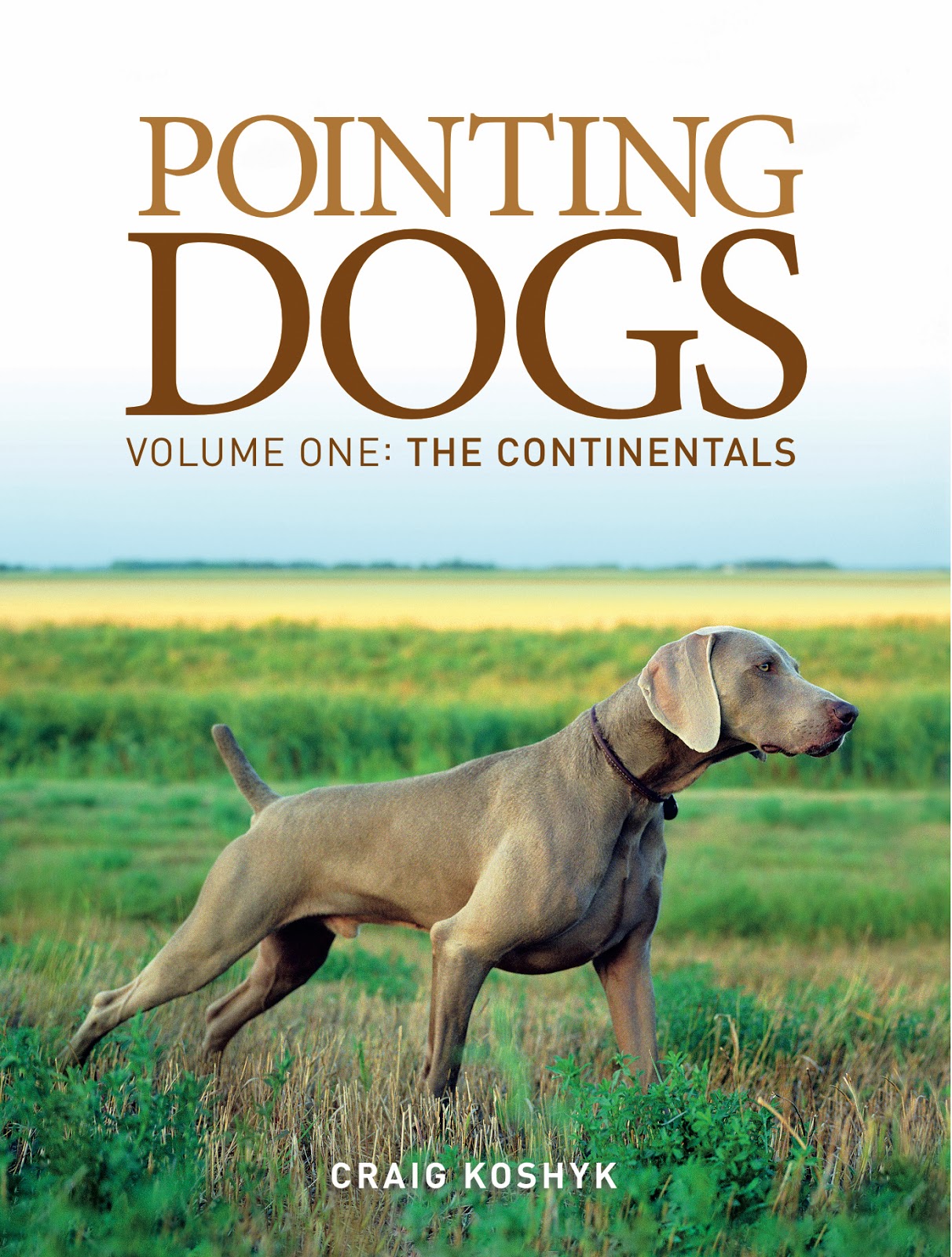 Pointing Dog Blog: Pointing Dogs Volume One