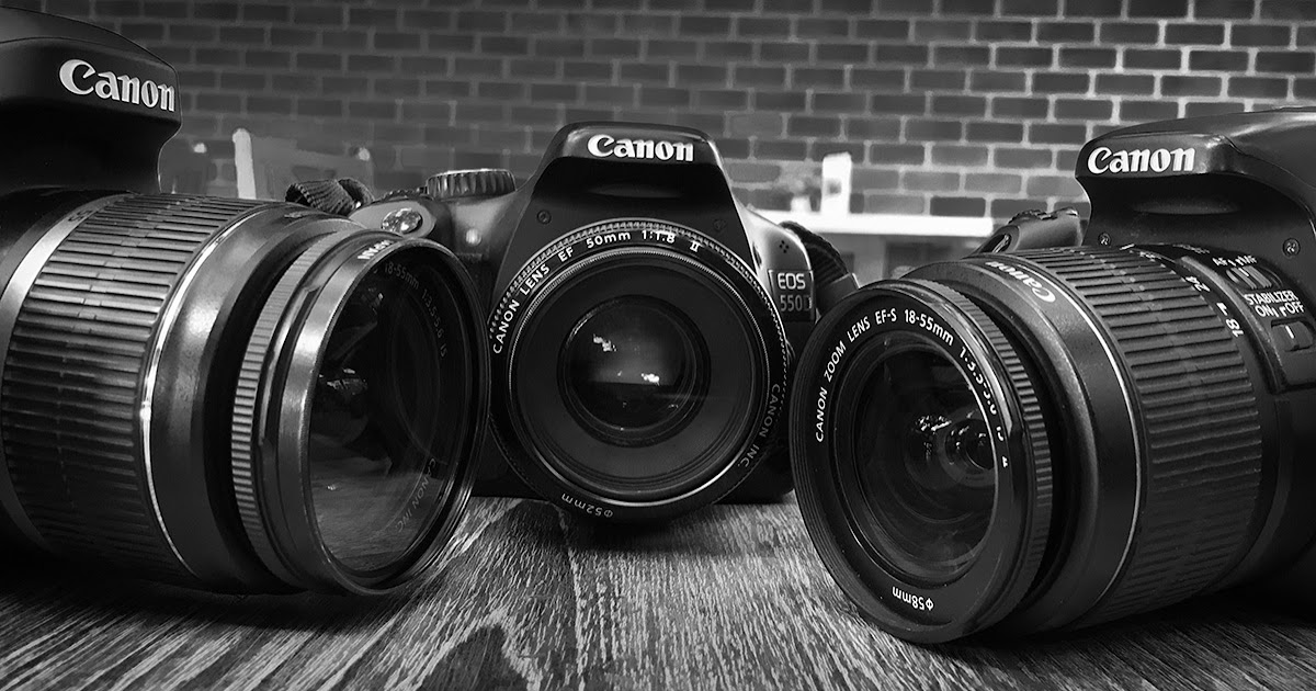 Câmeras DSLR para quem está começando na fotografia ~ Resumo Fotográfico