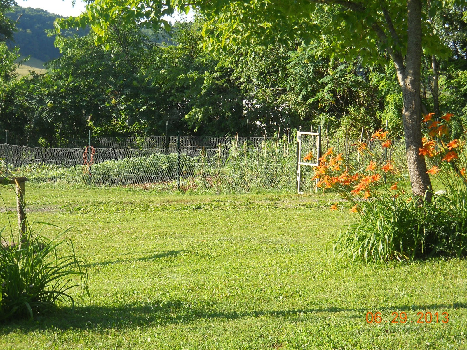 Heavens' Half Acre Homestead