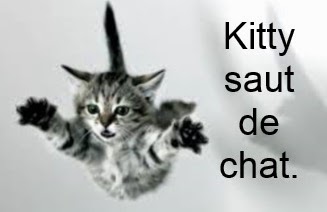 Fun Friday Shooting Saut de Chat