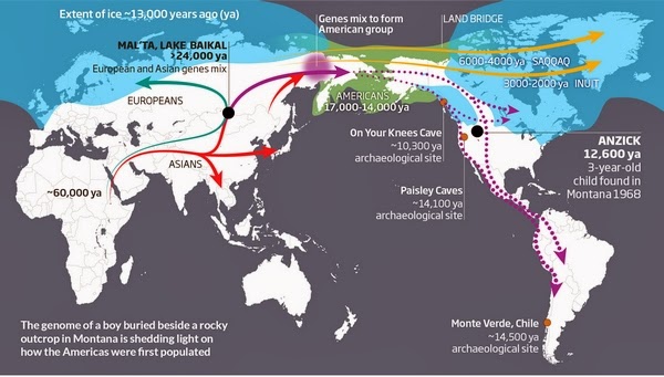 Revista A4: Análise do genoma do menino Anzick-1 nega origem solutrense ...