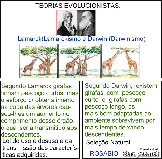 RosaBio: Tirinhas das Teorias Evolucionistas de Darwin (Darwinismo) e Lamarck (Lamarckismo)