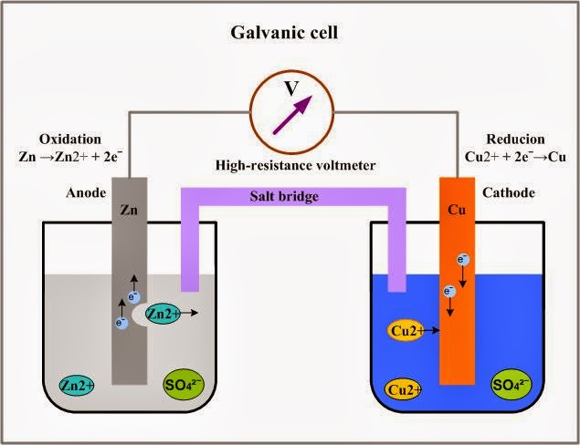 Effect of Metal Type on the Voltage of a Galvanic Cell | Science Fair ...
