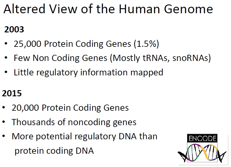 Sandwalk: ENCODE workshop discusses function in 2015