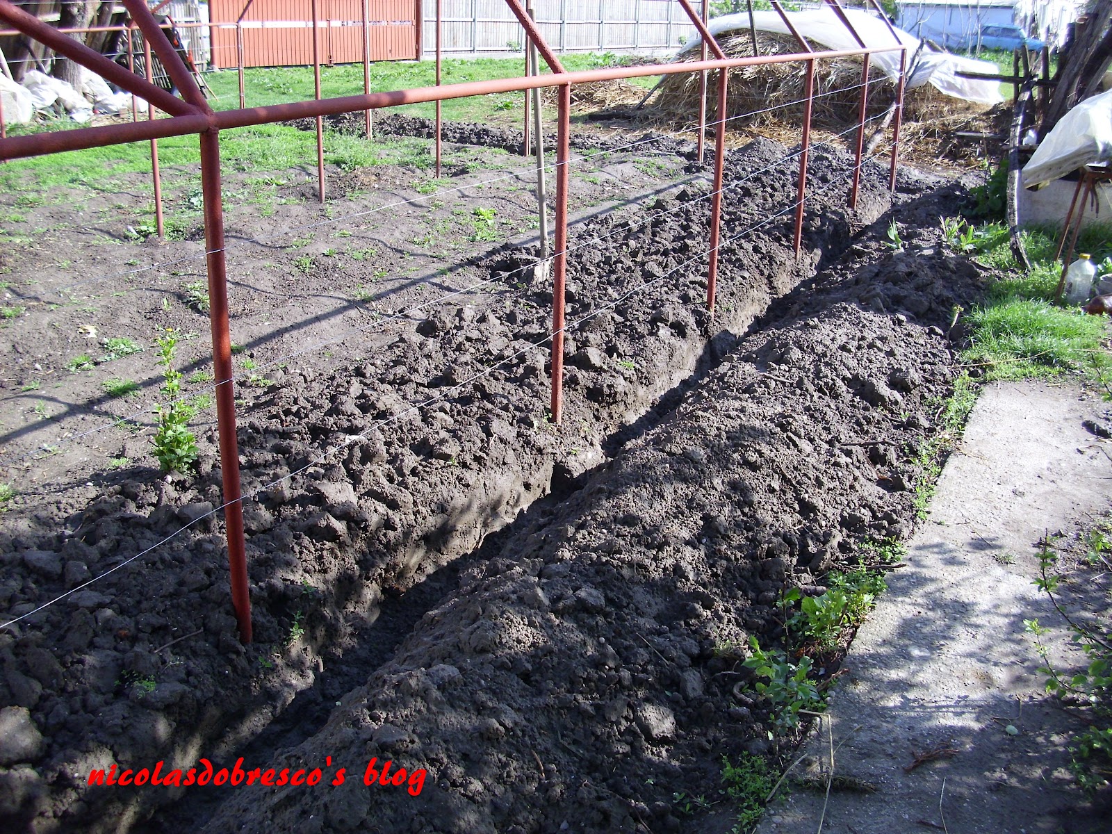 __ Nicolas _le_ jardinier __: Constructia unui solar/sera de legume ...