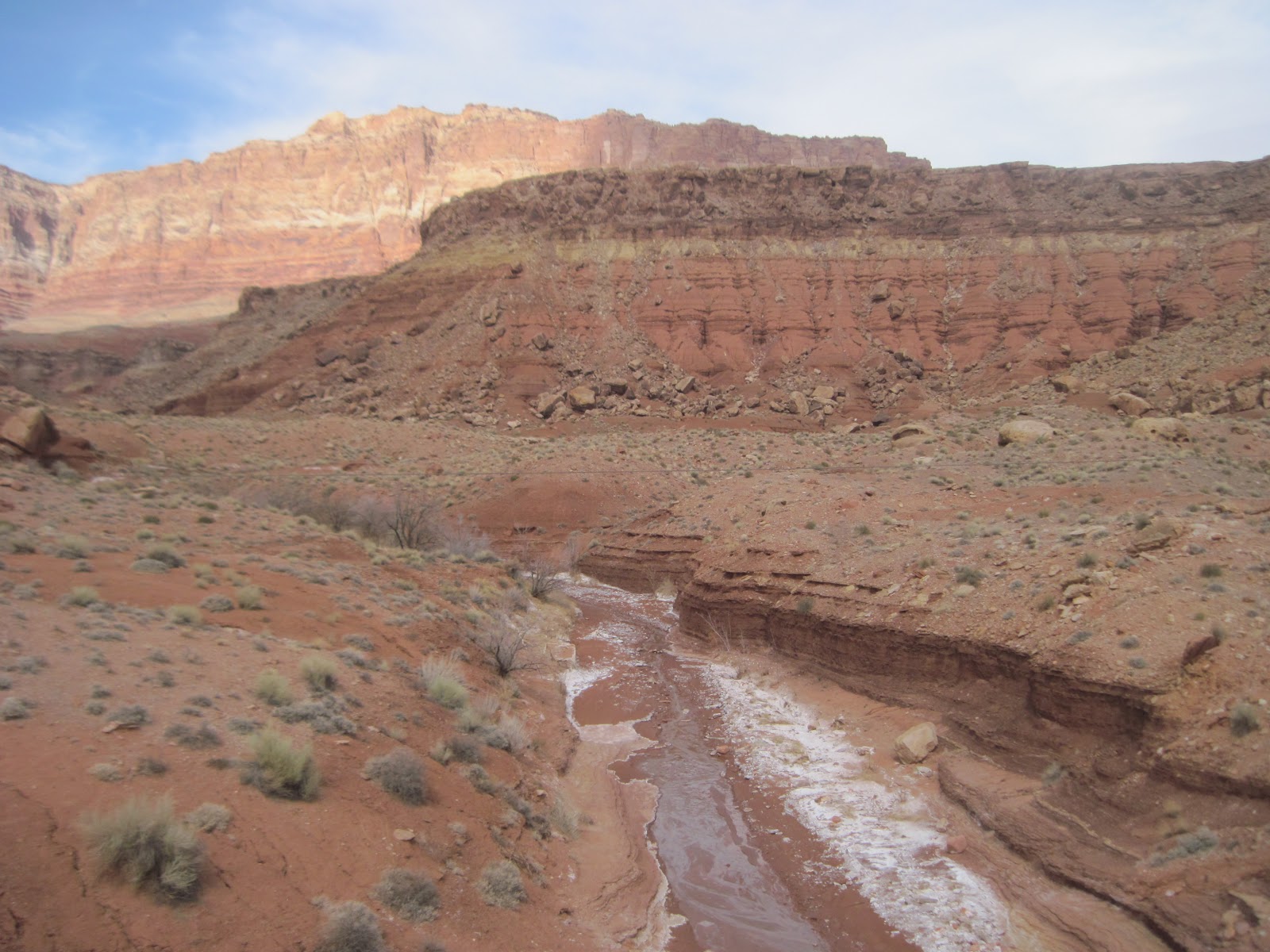 The Schramm Journey: Northwestern Arizona to Flagstaff