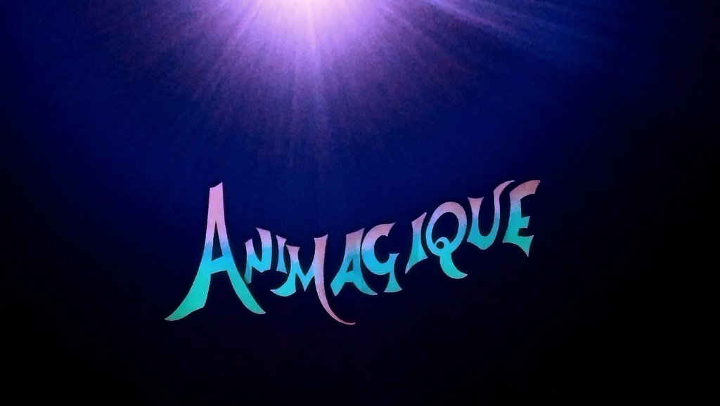 DISNEY KIND OF DAY: Goodbye Animagique!