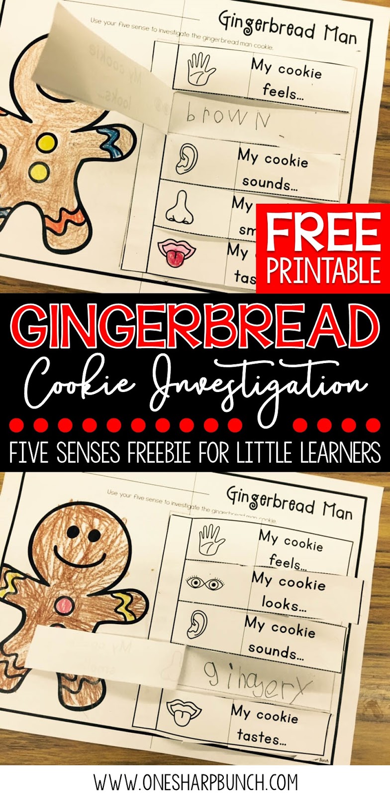 Gingerbread Five Senses FREEBIE - One Sharp Bunch