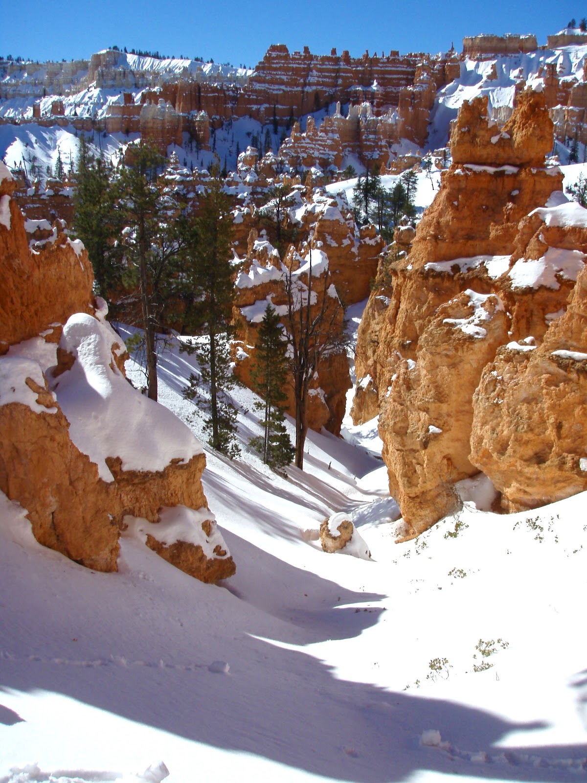 One Day in America: Snowshoeing In Bryce Canyon National Park, Utah