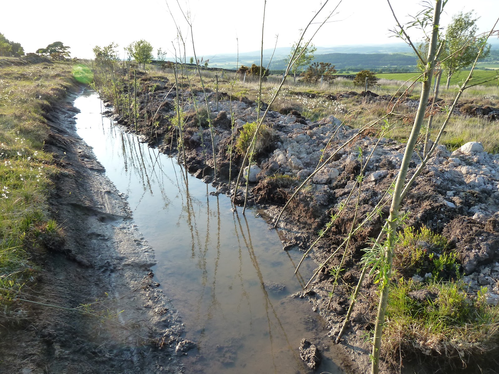 Backsbottom Farm: Swales on the Fell