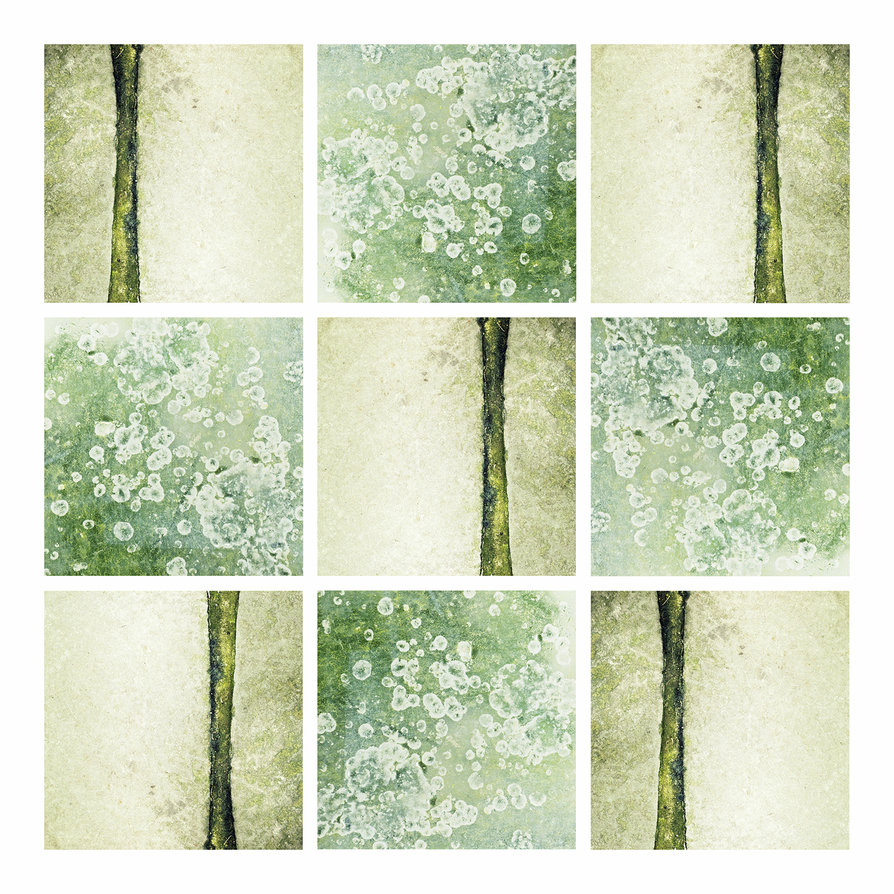 GIULIANO LAZZARI: VENENUM MATERIA (32)