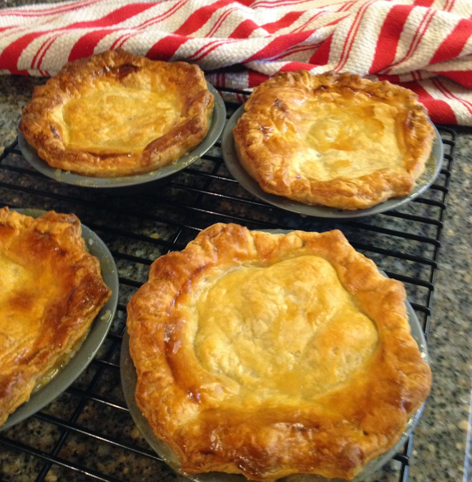 The Baked Alaska Project: Alaska Halibut Pot Pie