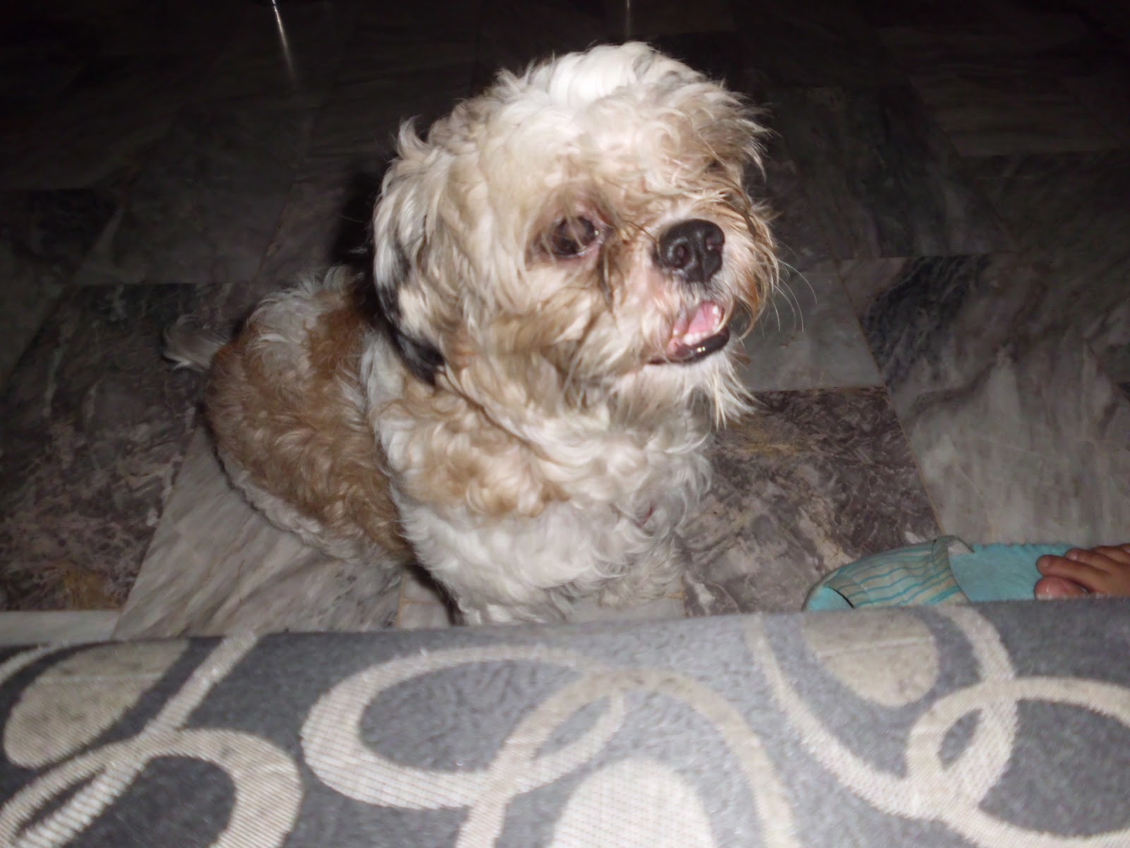 Optional Perspective: Unboxing of HP s300 Digital Camera