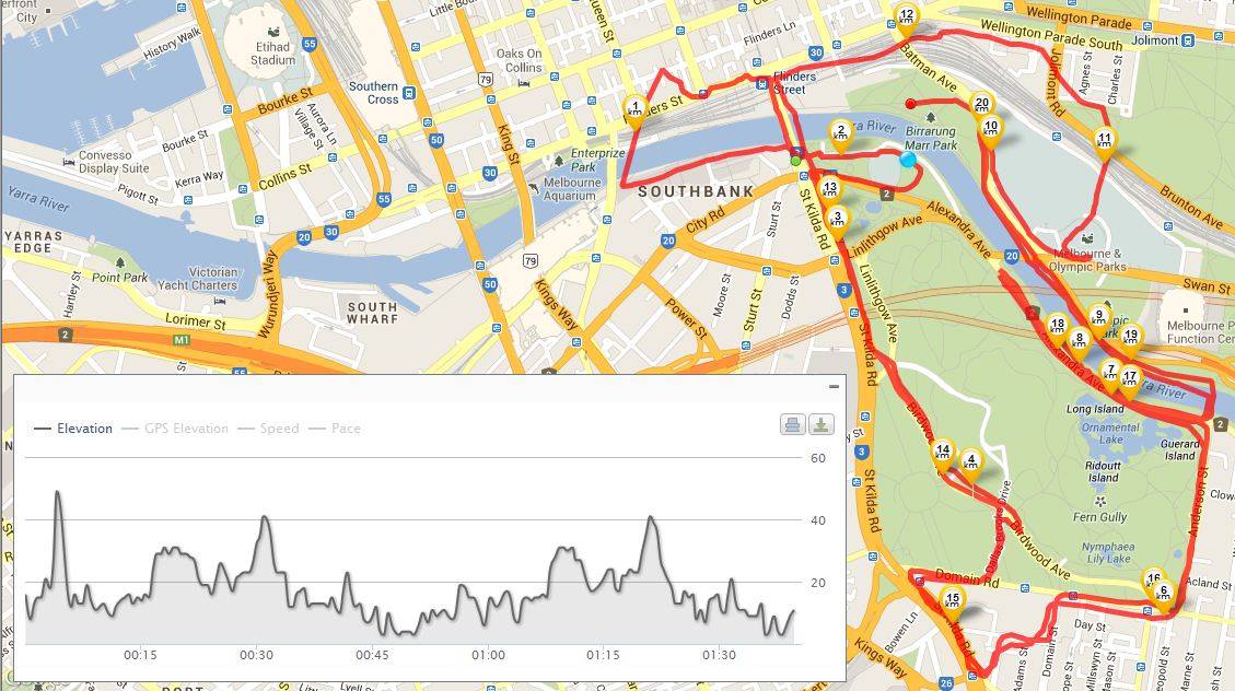 The Jangulator: Run Melbourne 2013