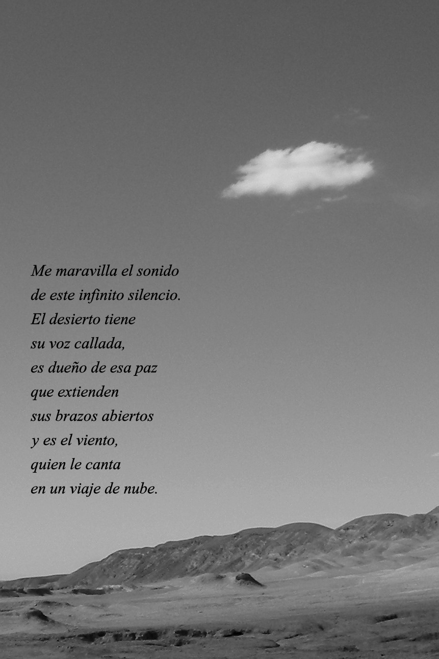 POESÍA Y TRANSICIONES: INFINITO SILENCIO...