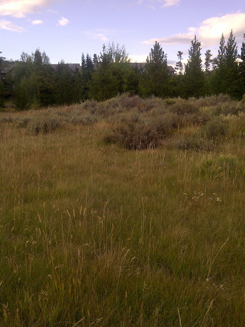 High Country Activities: Fall Comes to Summit County, Colorado