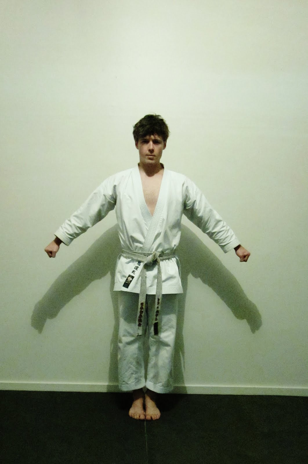 André Bertel's Karate-Do: Mae-geri