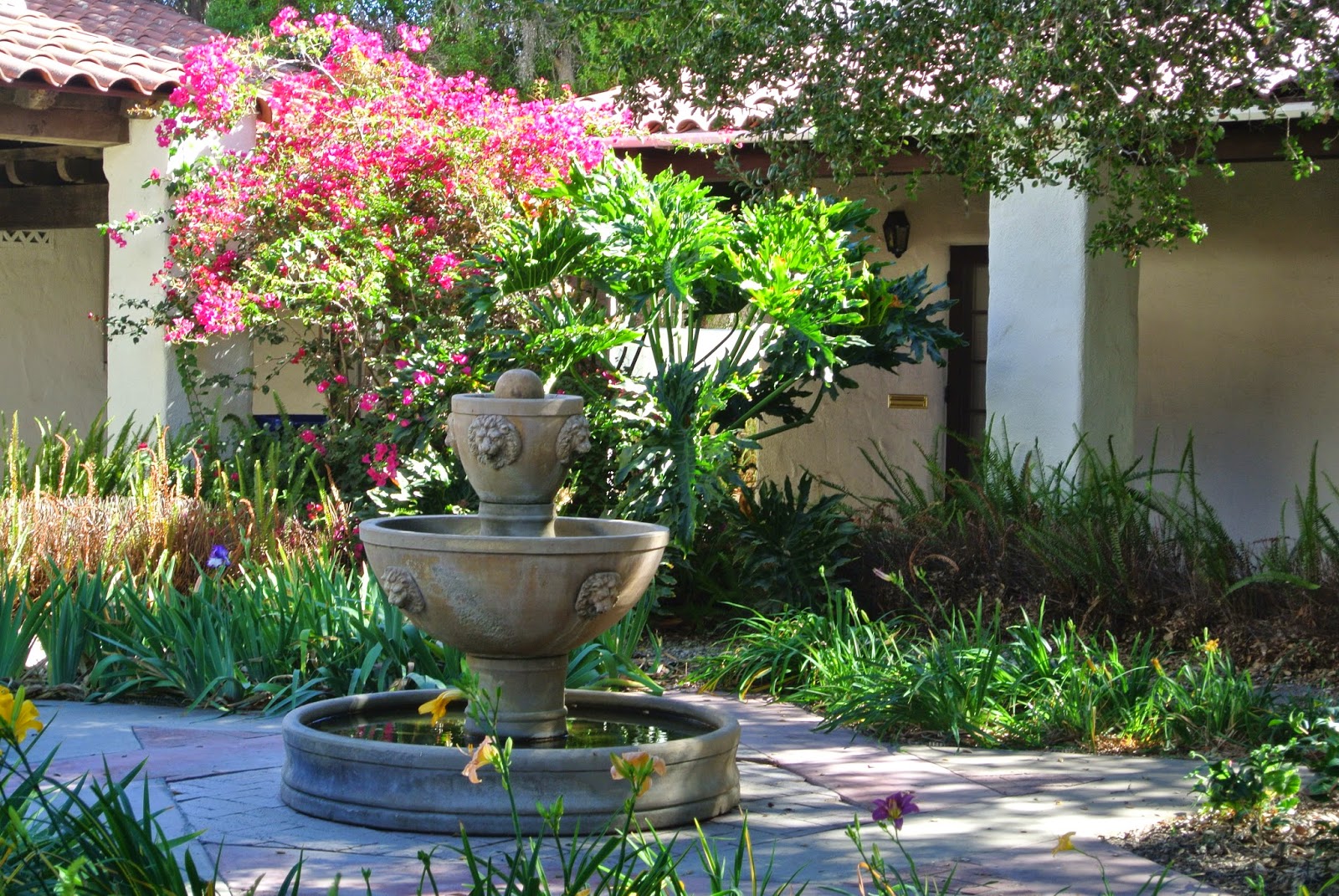 danielle abroad: on an ojai high