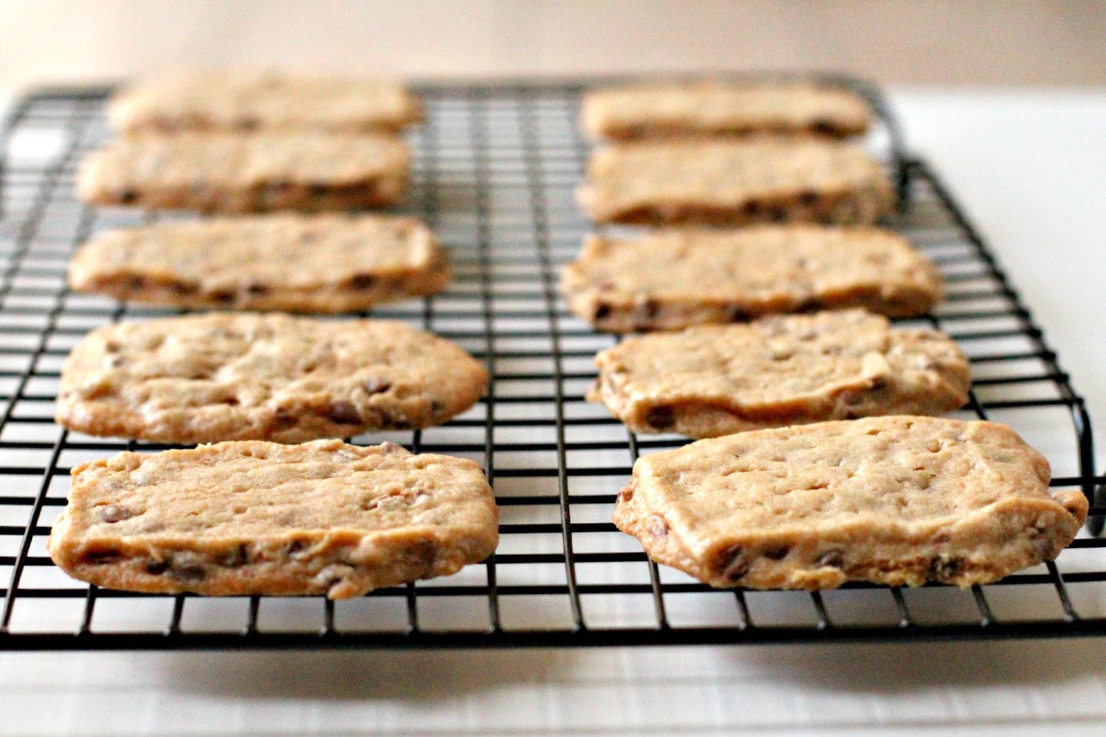 Milk and Honey: Espresso Chocolate Shortbread