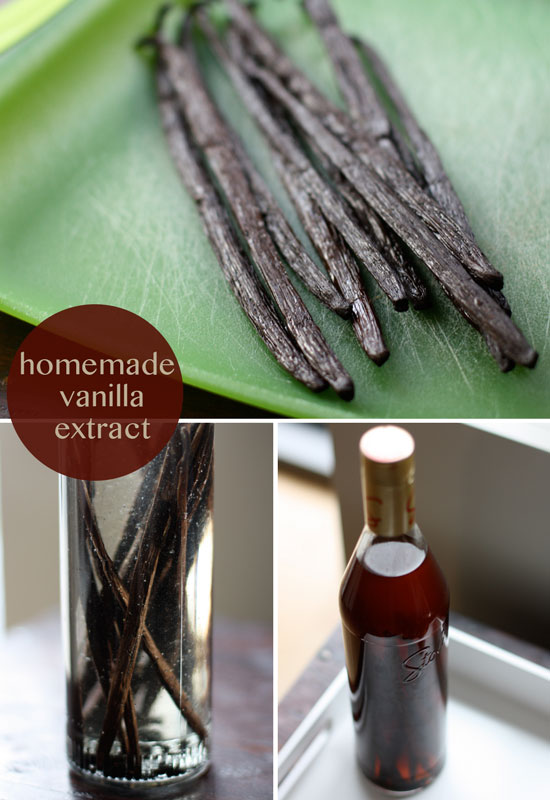 The SoHo: Making Vanilla Extract