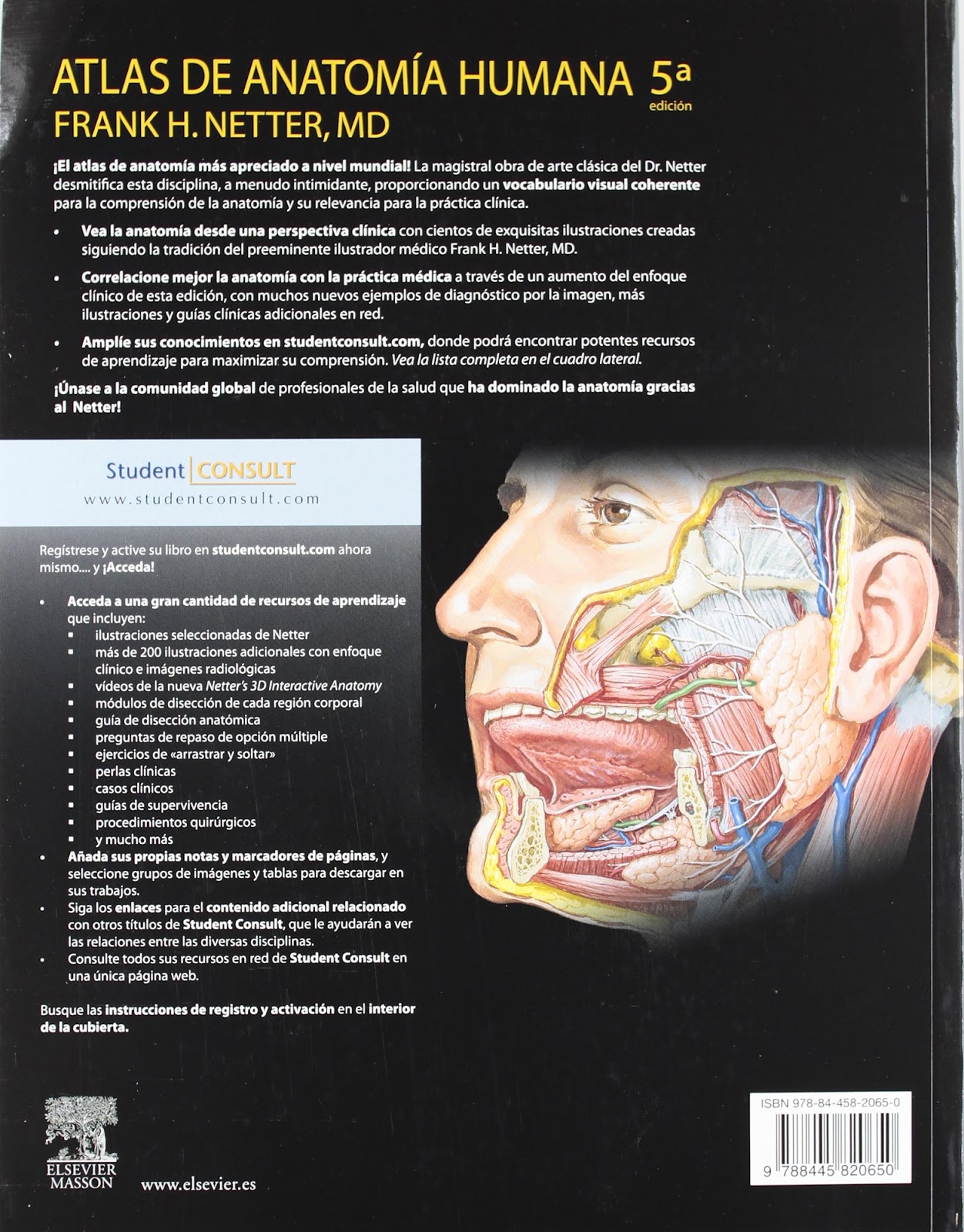 atlas de anatomia humana netter pdf - wood scribd braxin