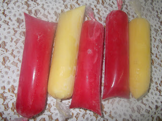 La Gringa Cocina: Paletas (The Mexican Popsicle)