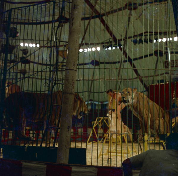 The Circus "NO SPIN ZONE": 04/16/12