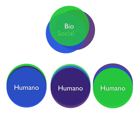 El diagnóstico enfermero: Biopsicosocial