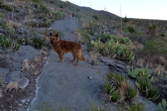 Greg's Running Adventures: Quest for the Northern Pass