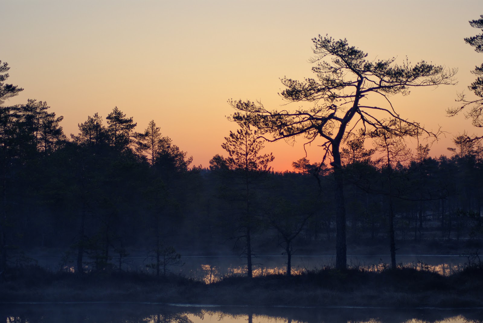 Kalevi pildiblogi: Viru raba, päikesetõus