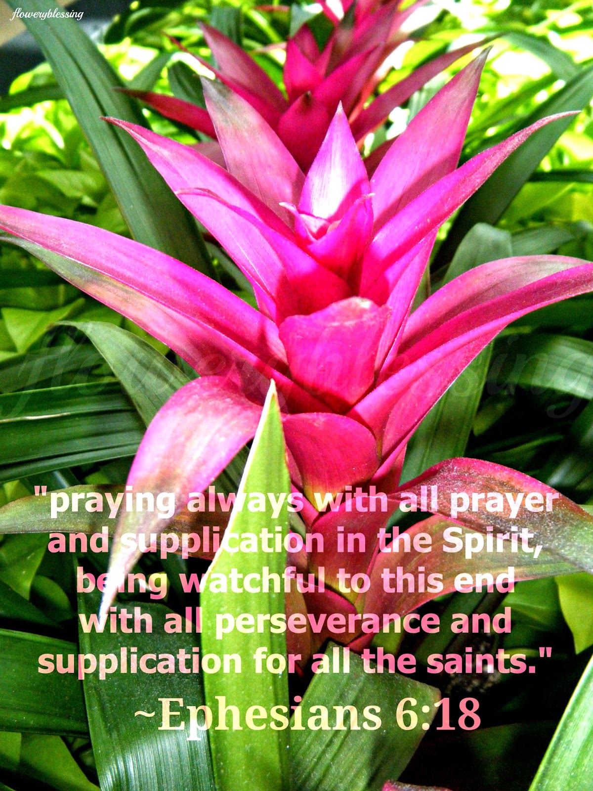 Flowery Blessing: "praying always with all prayer and supplication in ...