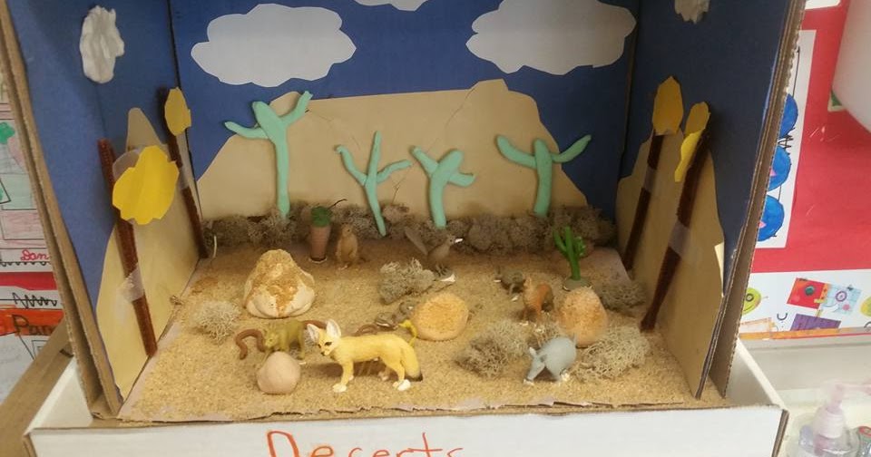 Forest Ecosystem Diorama