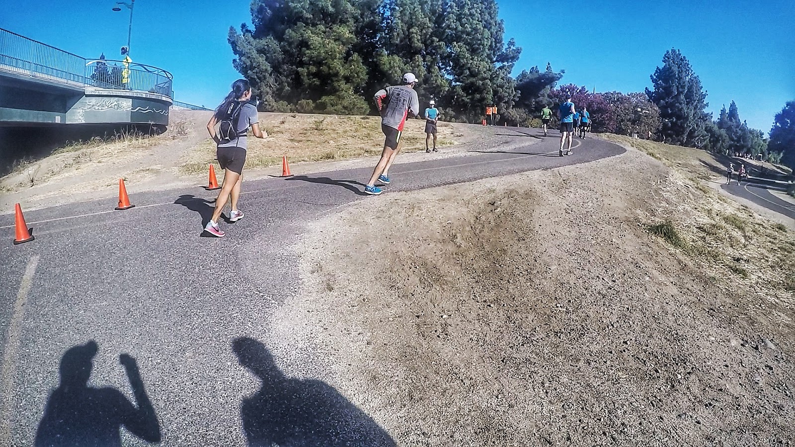 Run-Hike-Play: Run The Parkway 20 Miler Race Recap 11/5/17