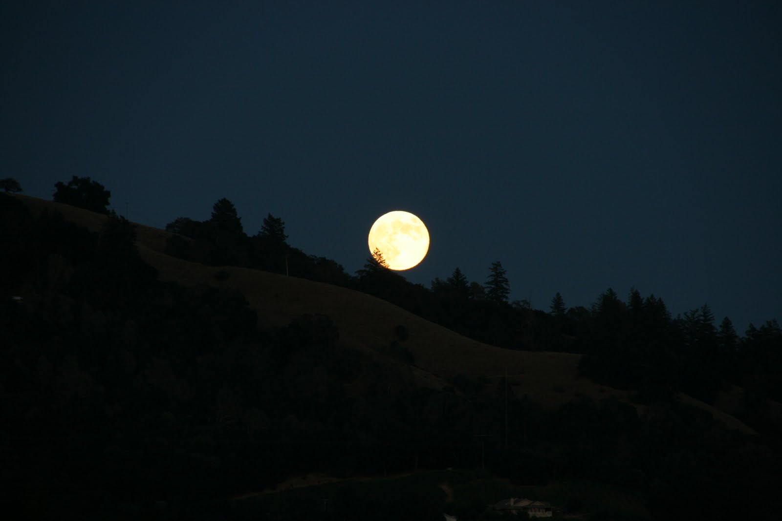vignette design: August Full Moon in the Wine Country