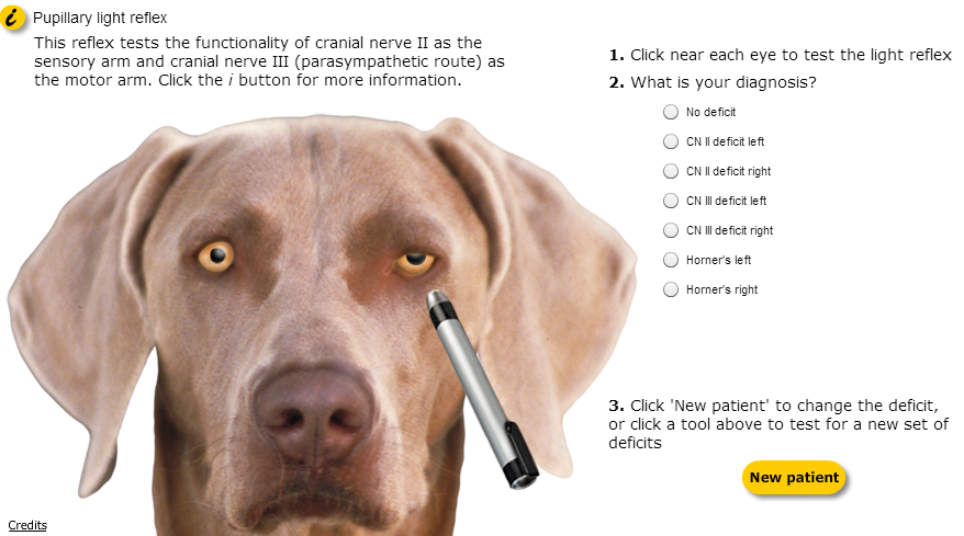 VETERINARY SCIENCE 4 U: CANINE OCULAR REFLEXES