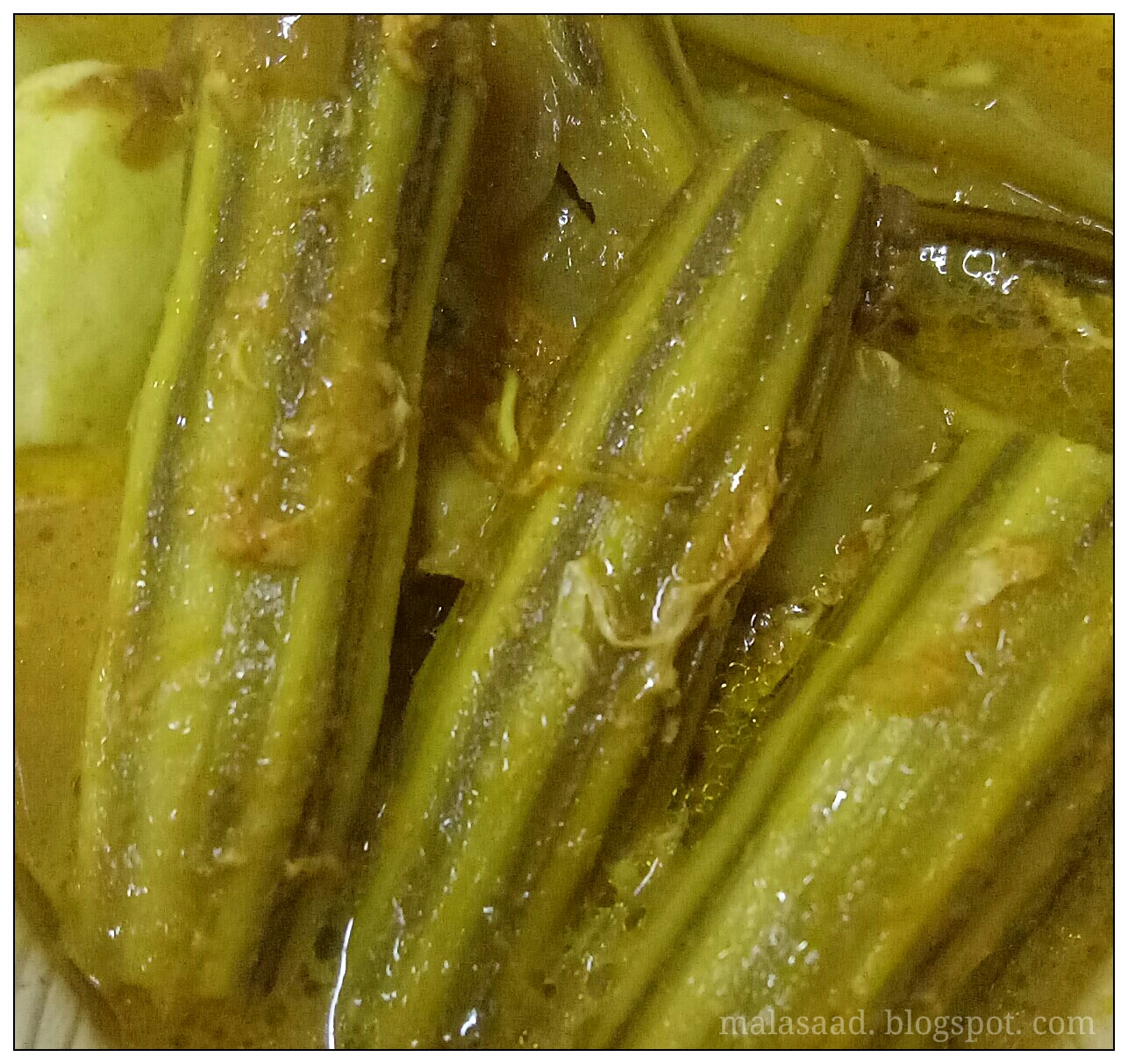 My Green Eye's: Remunggai, Kundur, Timun, Peria, Cilipadi Kampung & Terung