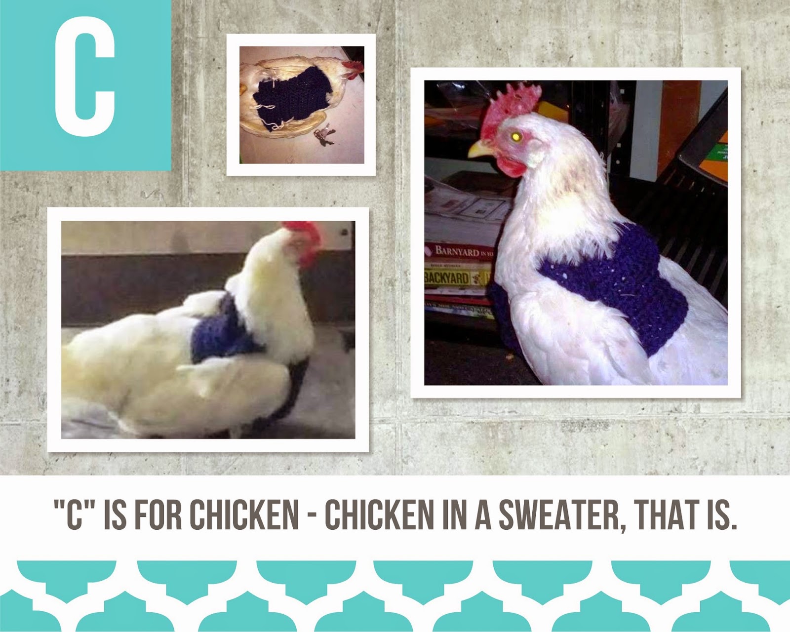 Creative Crochet by Becky: Crochet Chicken Sweaters Pattern and Custom ...