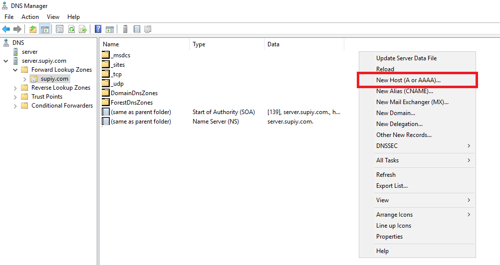 Add DNS Records on Windows Server 2016 - Security Cipher