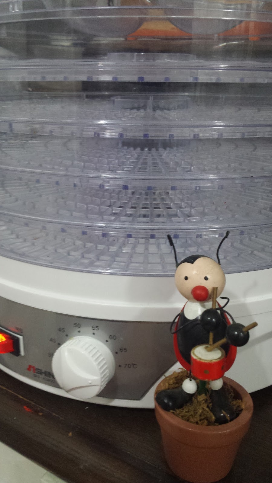 CARTOON LAGOON: Home Made Spicy Biltong (with Pictures) using Dehydrator