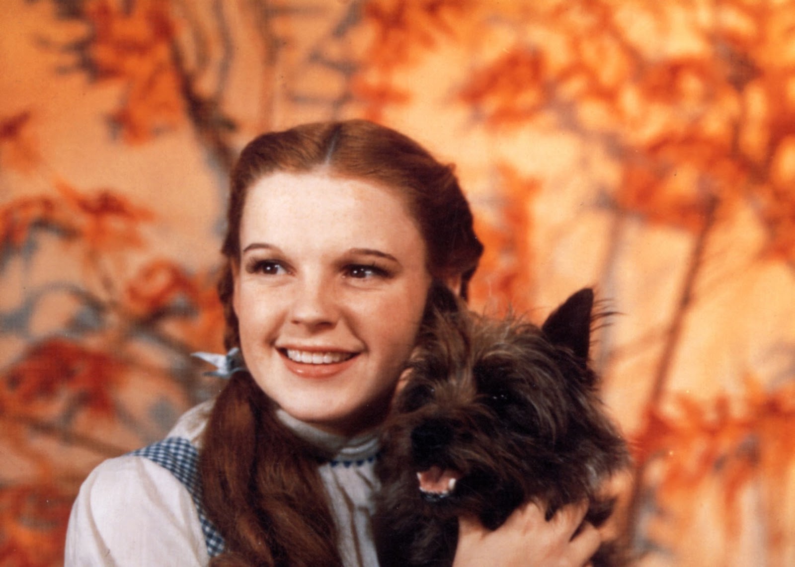 View from the Birdhouse: Dear Abby - Famous Movie Dogs: Toto from The ...