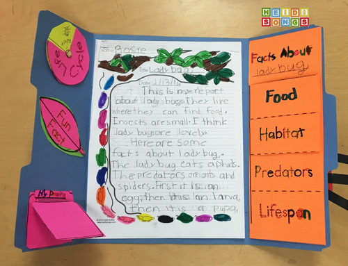 Teaching First Graders to Write an Insect Report!