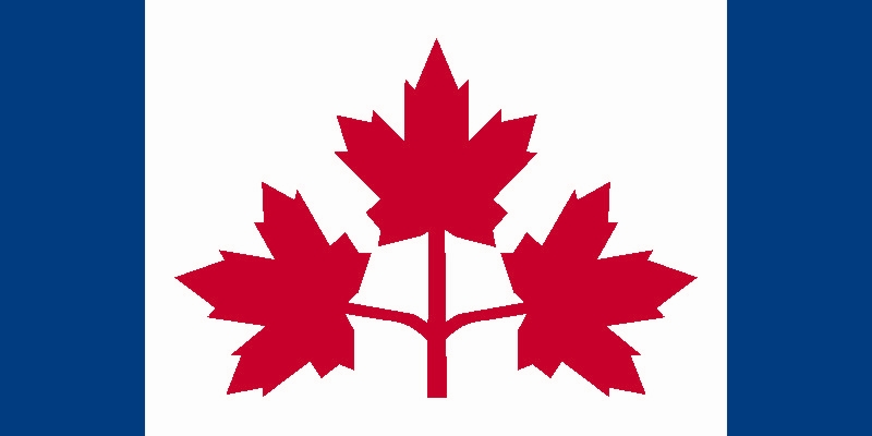 History Ink: A History of the Canadian Flag by Anna Markland