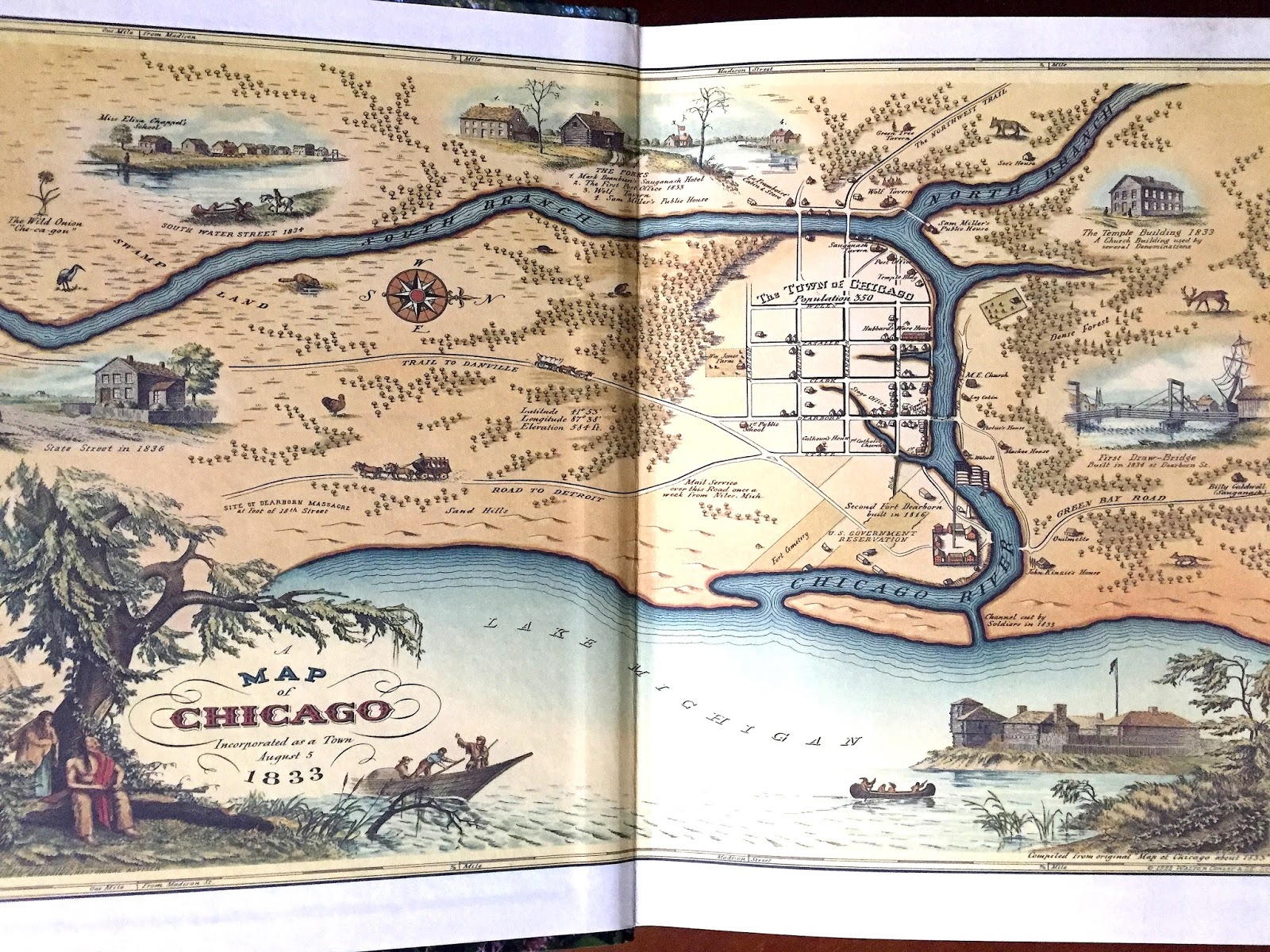 Strategies for Stewards: from woods to prairies : A New Flora for the ...