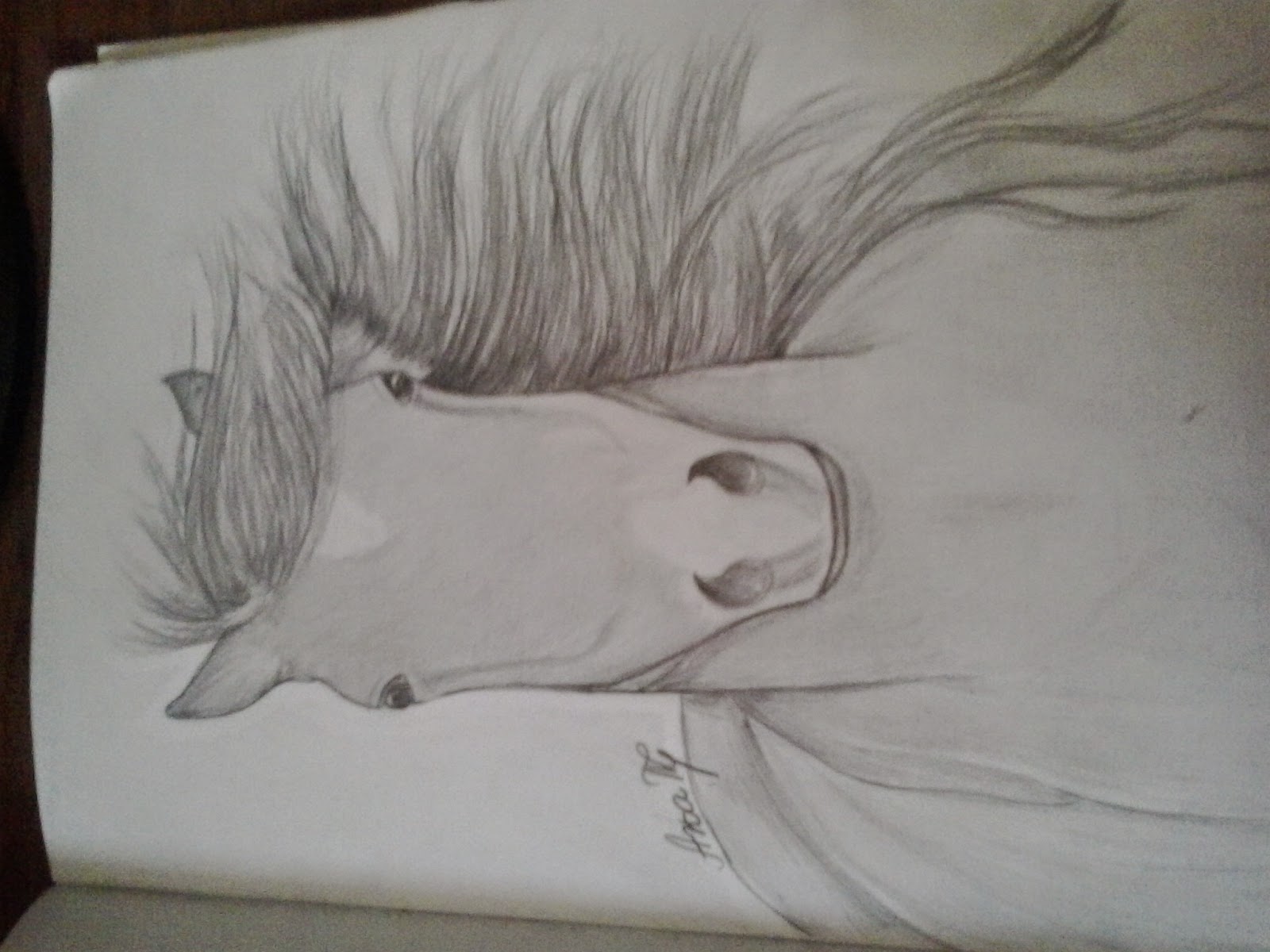 Crtezi!♥ - itsmezeljana