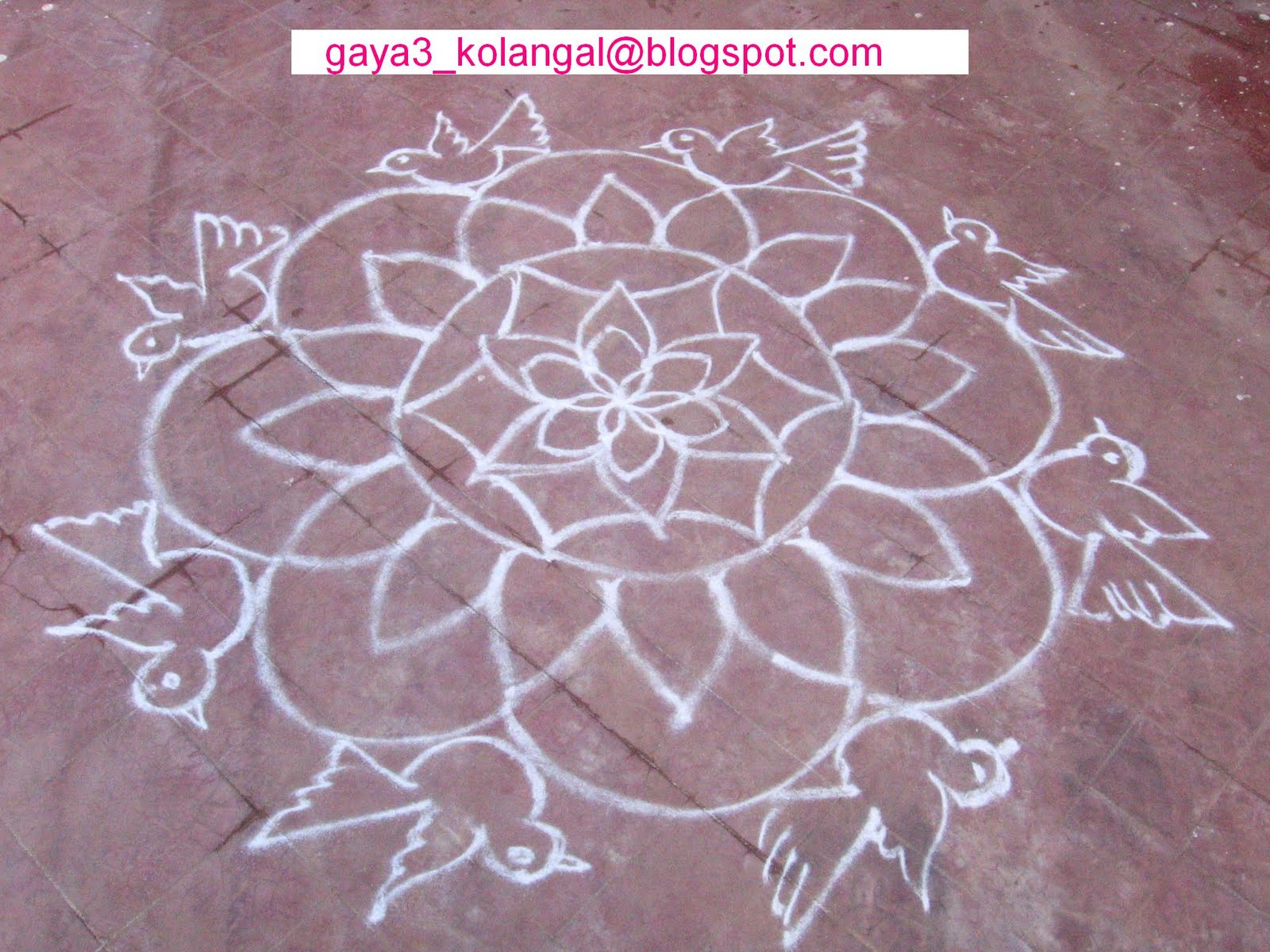 Colourful Kolangal Rangoli