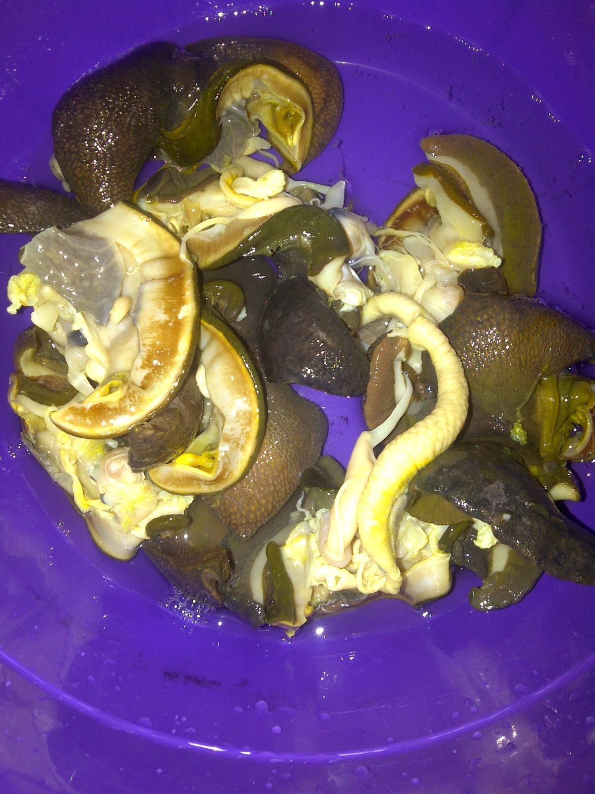 Shayor: Recipe for Crunchy Peppered Snails