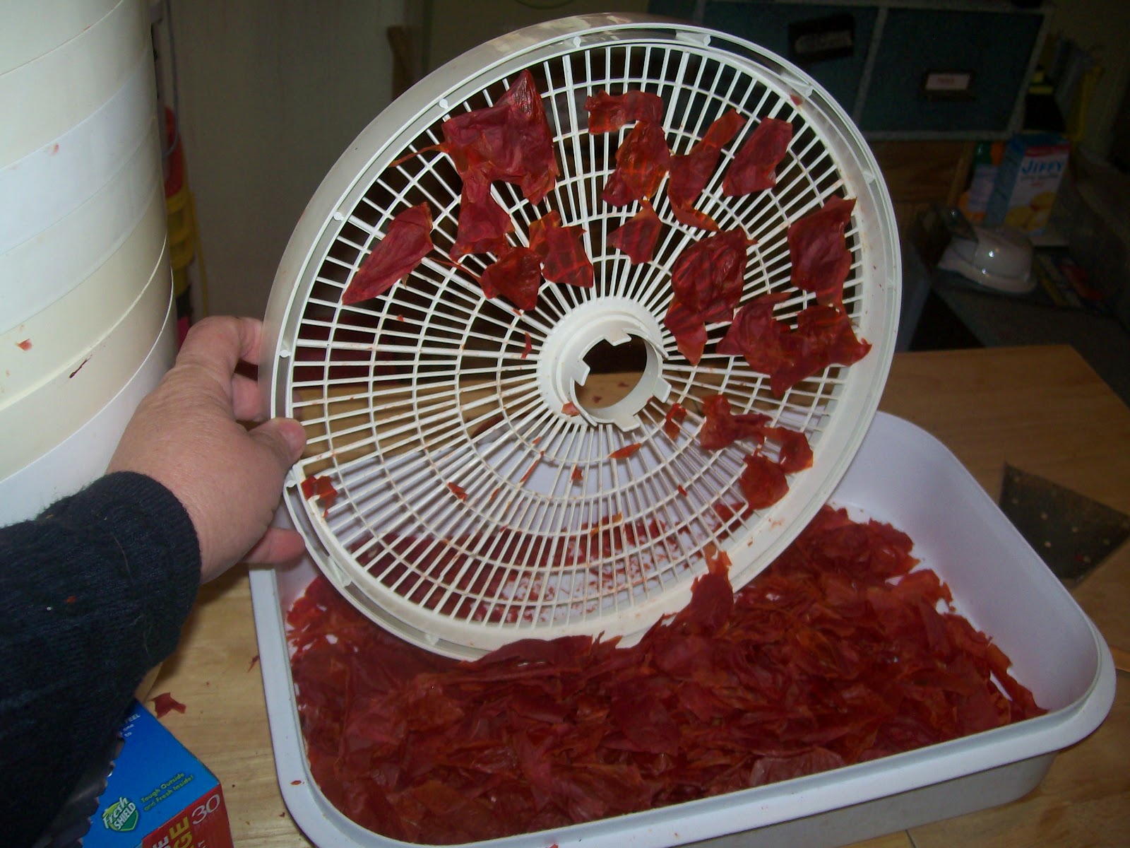 Dehydrating Way Beyond Jerky: Tomato Skins - Don't Toss 'Em
