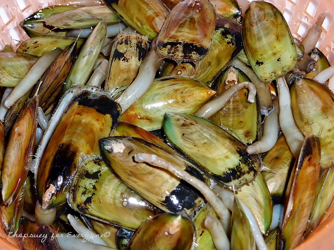 Chopsuey for Everyone: Balay Shells